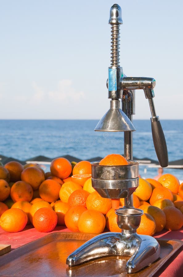 Oranges and manual press stock photo. Image of juice, fruit - 9993968