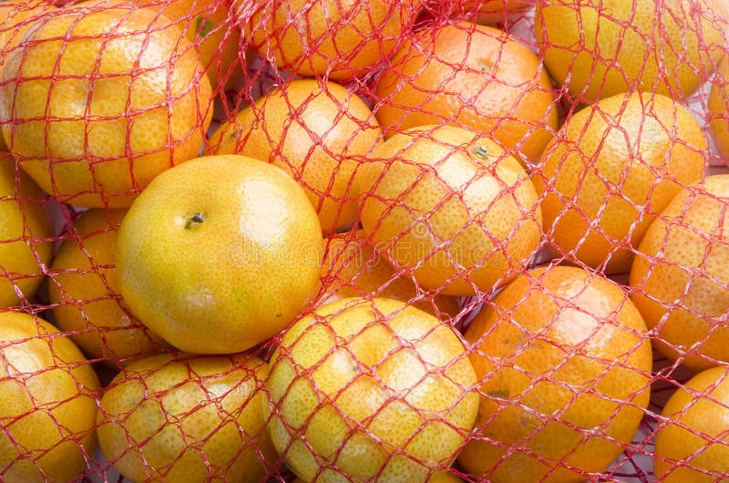 Oranges in net stock image. Image of concept, mandarine - 27274277