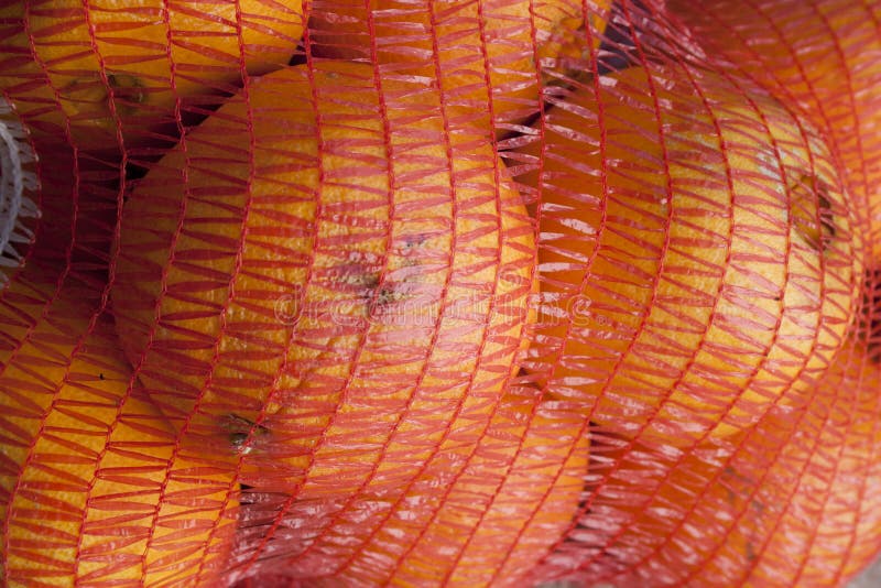 Oranges in a Net Sack stock image. Image of closeup, pouch - 33125421