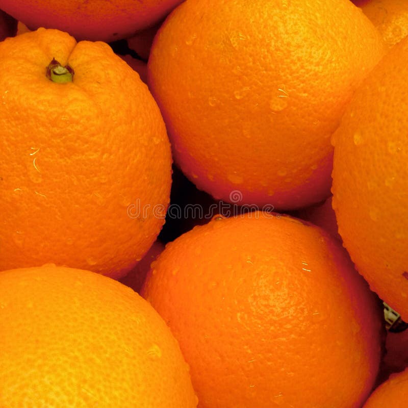 Oranges stock photo. Image of pack, nice, fruits, oranges - 78603802