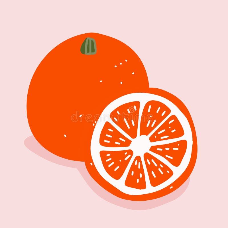 Oranges. Orange Illustration. Element for Different Designs Stock ...