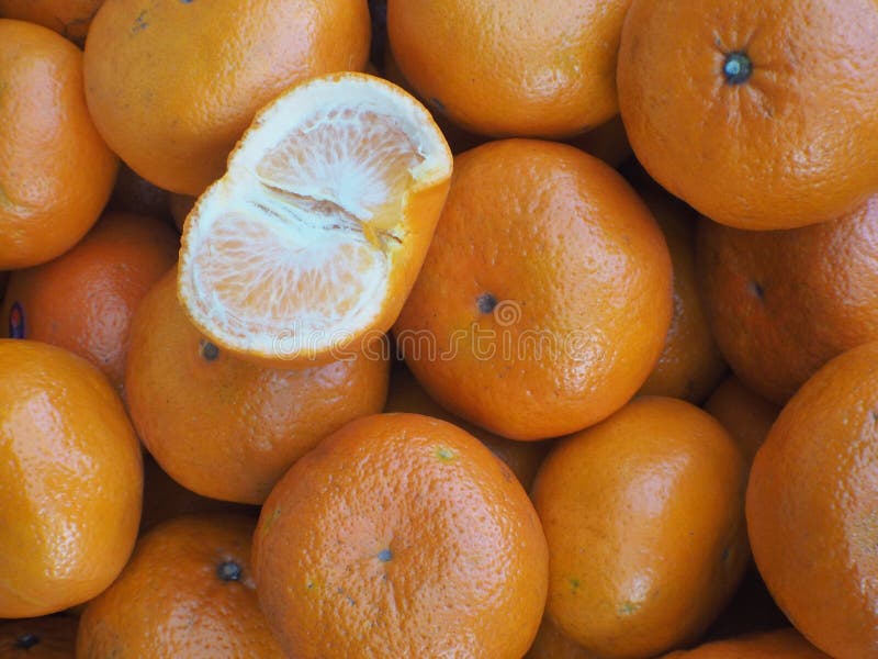 The Oranges for Our Good Healthy Stock Photo - Image of good, closeup ...