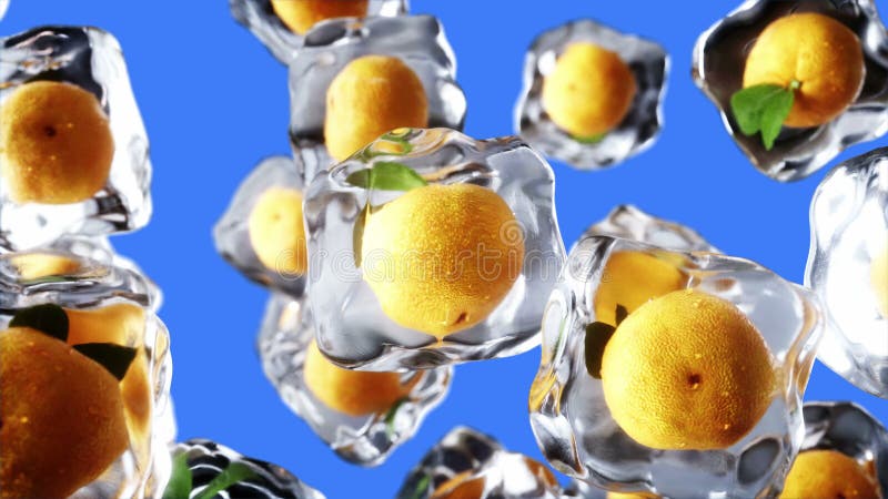 Oranges Rotate in Ice Cubes. Food and Broadcast Concept. Realistic Ice ...