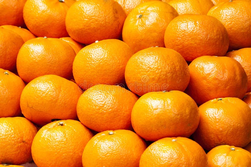 Oranges stock photo. Image of ripe, delicious, fruit - 37279150