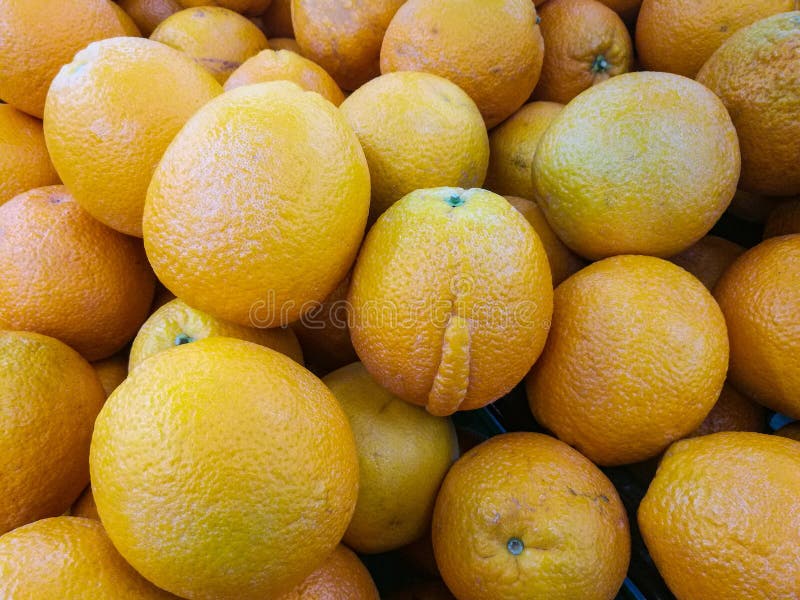 Oranges stock photo. Image of grapefruit, lemon, tangerine - 95055776