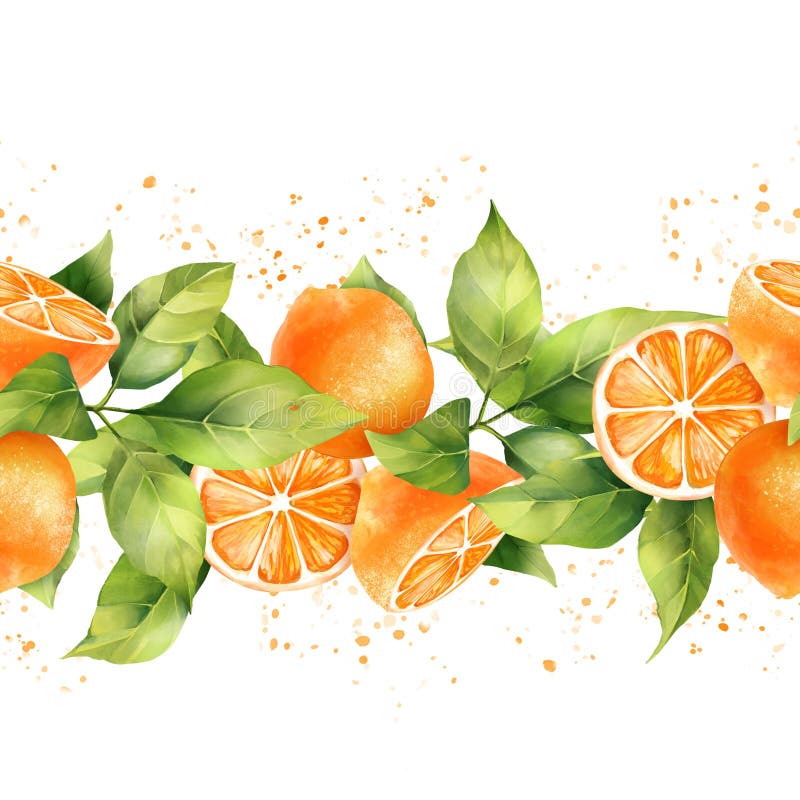 Oranges Seamless Border with Slices and Leaves. Fruit Background. Stock ...