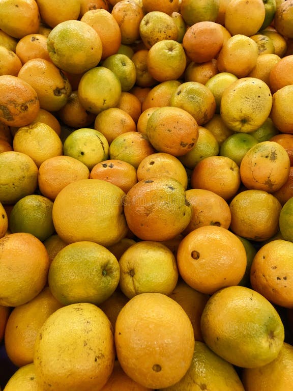Oranges stock photo. Image of brazil, tropical, fruits - 154630142