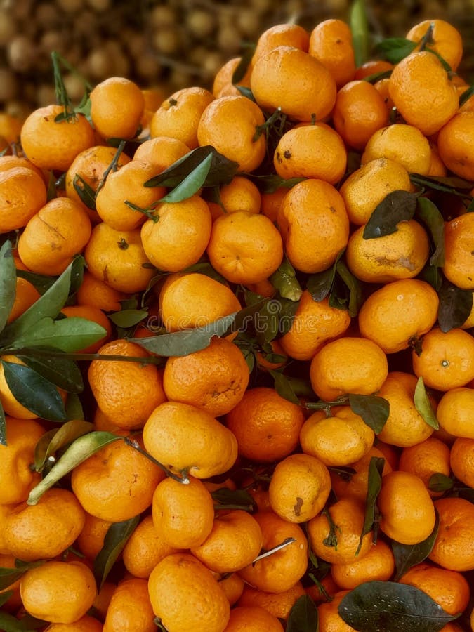 Oranges are very delicious stock image. Image of produce - 261694039