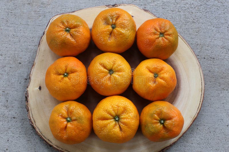 Oranges on wood stock image. Image of dessert, summer - 96490707