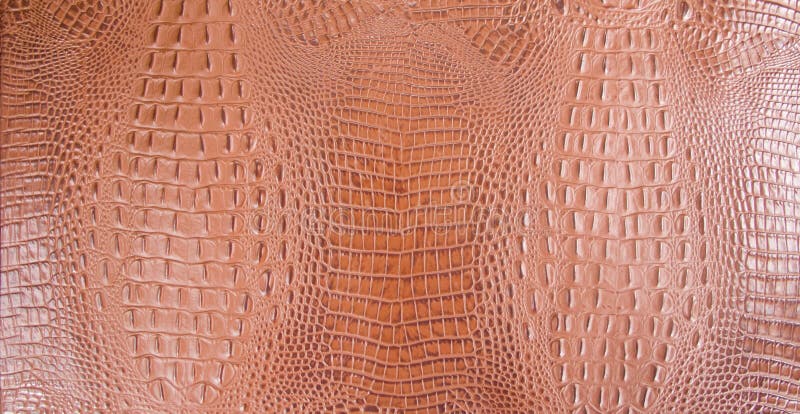 Gold/Dark Brown Embossed Gator Belly Leather Texture Stock Photo ...