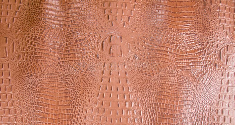 Orangish Embossed Gator Leather Texture Stock Photo - Image of leather ...
