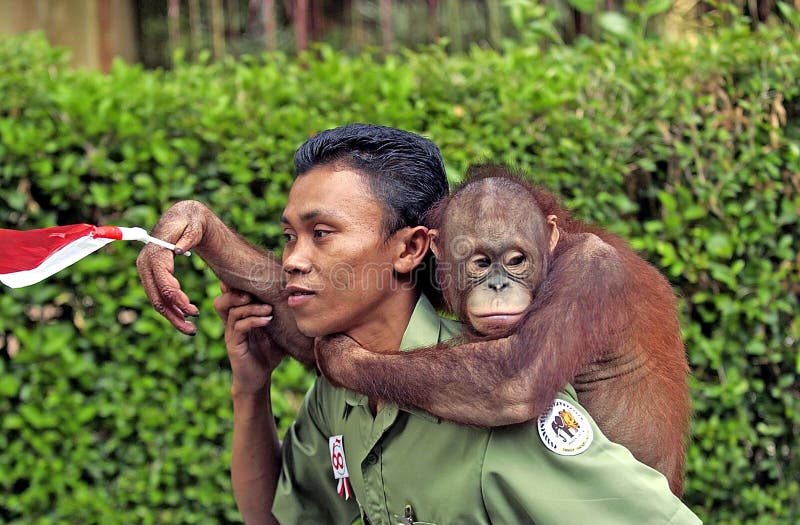 577 Safari Keeper Stock Photos - Free & Royalty-Free Stock Photos from ...