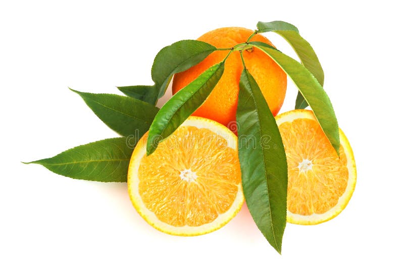 Oranje citrusvrucht stock afbeelding. Image of vitamine - 11361717