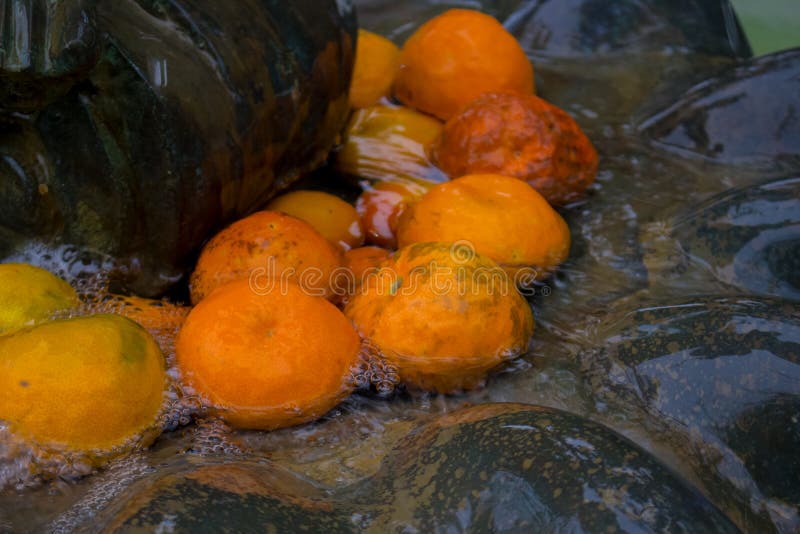 Oranje vruchten stock foto. Image of helder, kleurrijk - 105744192