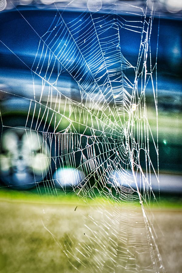 Orb spider web in detail stock image. Image of green - 153769699