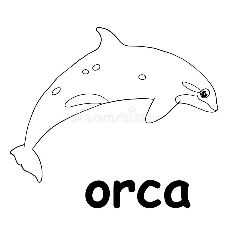 Kids Line Illustration Coloring Orca. Animal Outline Stock Vector ...