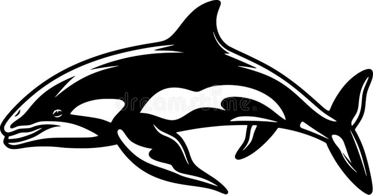 Black White Illustration Orca Stock Illustrations – 1,391 Black White ...
