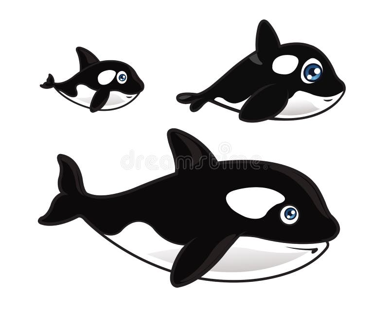 Orca Cartoon Mascot stock illustration. Illustration of whale - 55663464