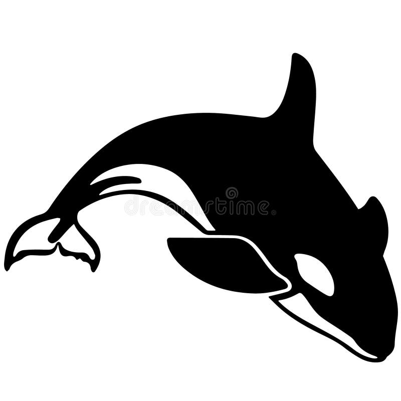 Orca Killer Whale Illustration by Crafteroks Stock Vector ... Orca Killer Whale Illustration by Crafteroks Stock Vector ...