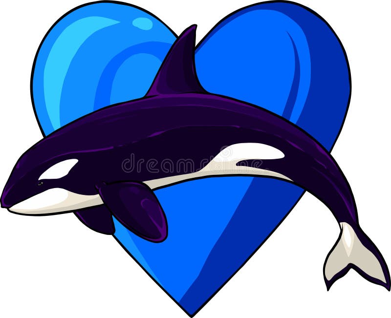 Vector Illustration of Orca Whale Jumping on White Background Stock ...