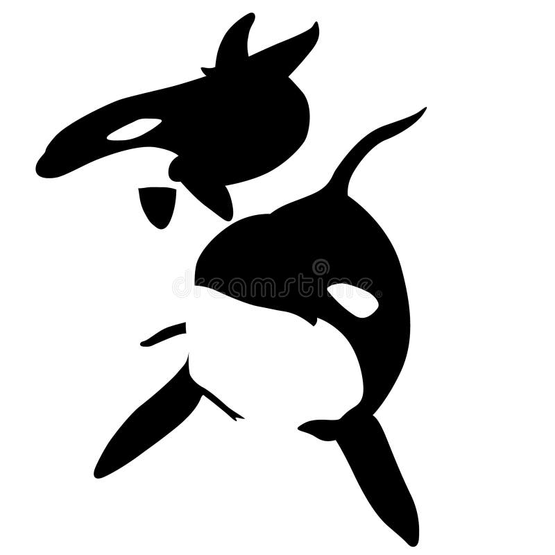 Orca Killer Whale Illustration by Crafteroks Stock Vector ... Orca Killer Whale Illustration by Crafteroks Stock Vector ...