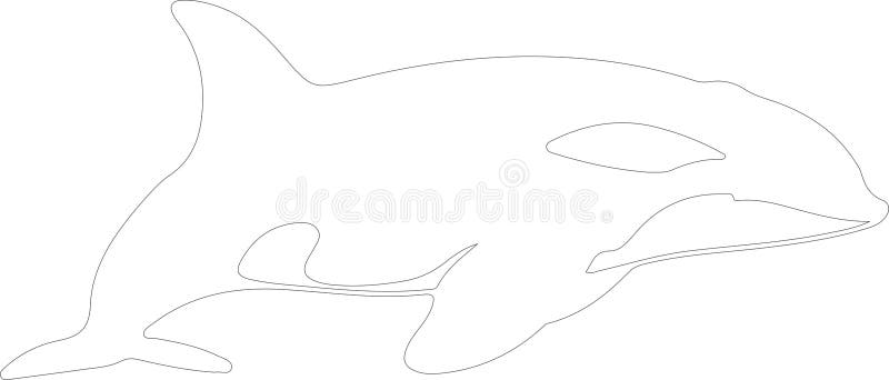 Orca Outline Silhouette Generative Ai Stock Vector - Illustration of ...