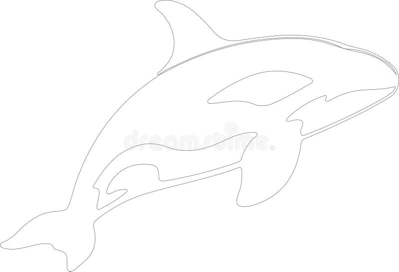 Orca Outline Silhouette Generative Ai Stock Vector - Illustration of creative, outlines: 321473896