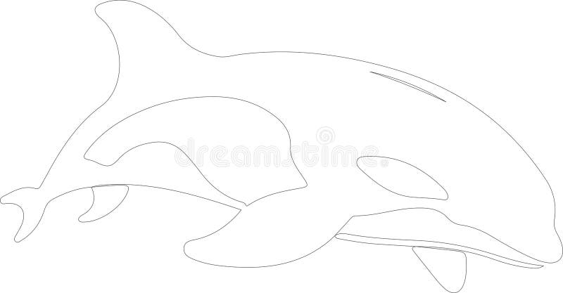 Orca Outline Stock Illustrations – 601 Orca Outline Stock Illustrations ...