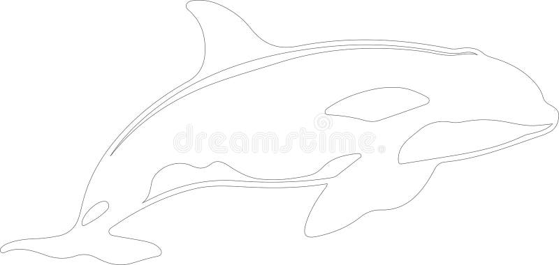 Orca Outline Silhouette Generative Ai Stock Vector - Illustration of ...
