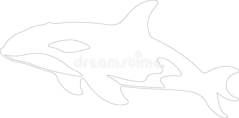 Orca Outline Silhouette Generative Ai Stock Vector - Illustration of ...