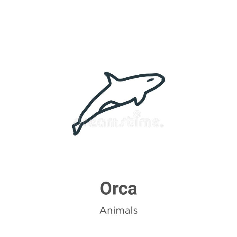 Orca Outline