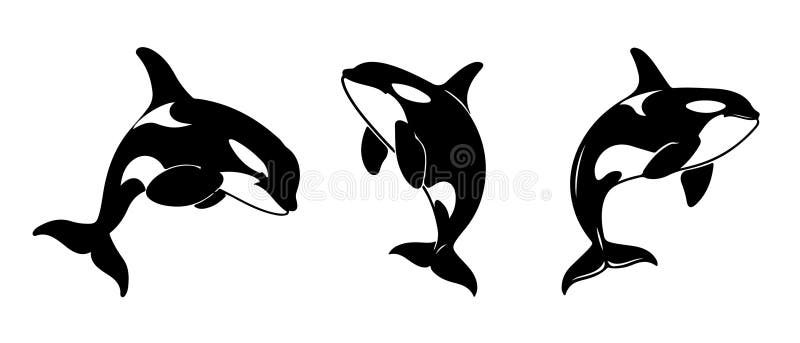 Orca Whale Icon Set - Vector Illustrations Isolated on White Background ...