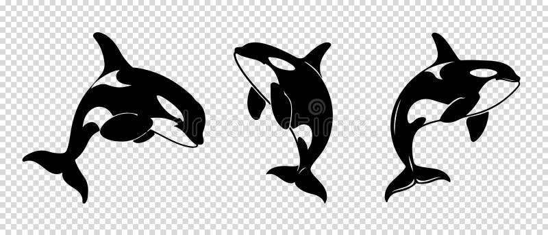 Orca Whale Icon Set - Vector Illustrations Isolated on Transparent ...