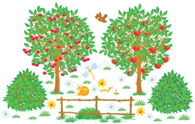 Orchard stock illustration. Illustration of worm, tree - 11673833