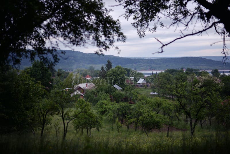 Orchard in a Story Sequence during the Spring Stock Image - Image of ...