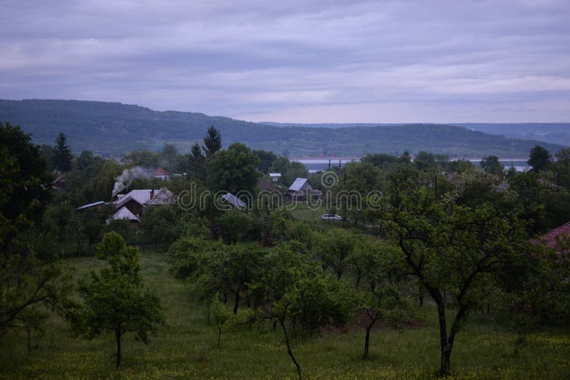 Orchard in a Story Sequence during the Spring Stock Photo - Image of ...