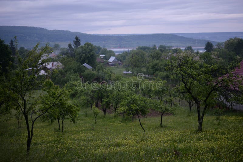 Orchard in a Story Sequence during the Spring Stock Photo - Image of ...