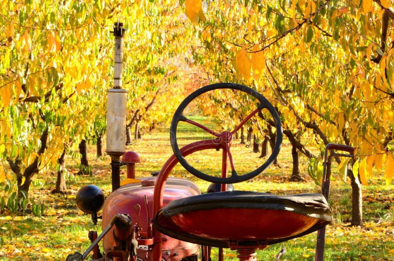 Orchard Tractor Close stock image. Image of vintage, peach - 21884027