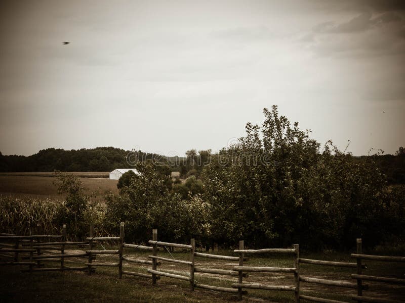 Orchard view stock image. Image of farm, fall, peaceful - 107919643
