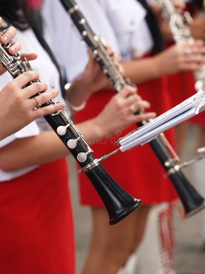 Orchestra stock photo. Image of parade, music, classical - 22600244