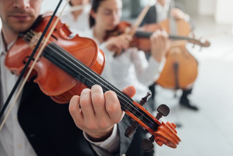 Orchestra String Section Performing Stock Photo - Image of rehearsal ...