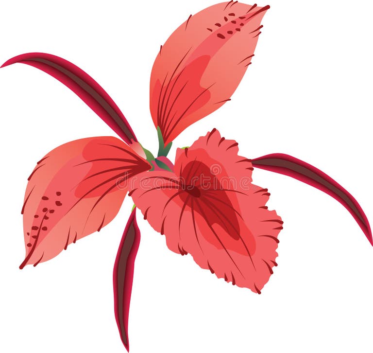 Ornate Purple Orchid Stock Illustrations – 2,466 Ornate Purple Orchid ...