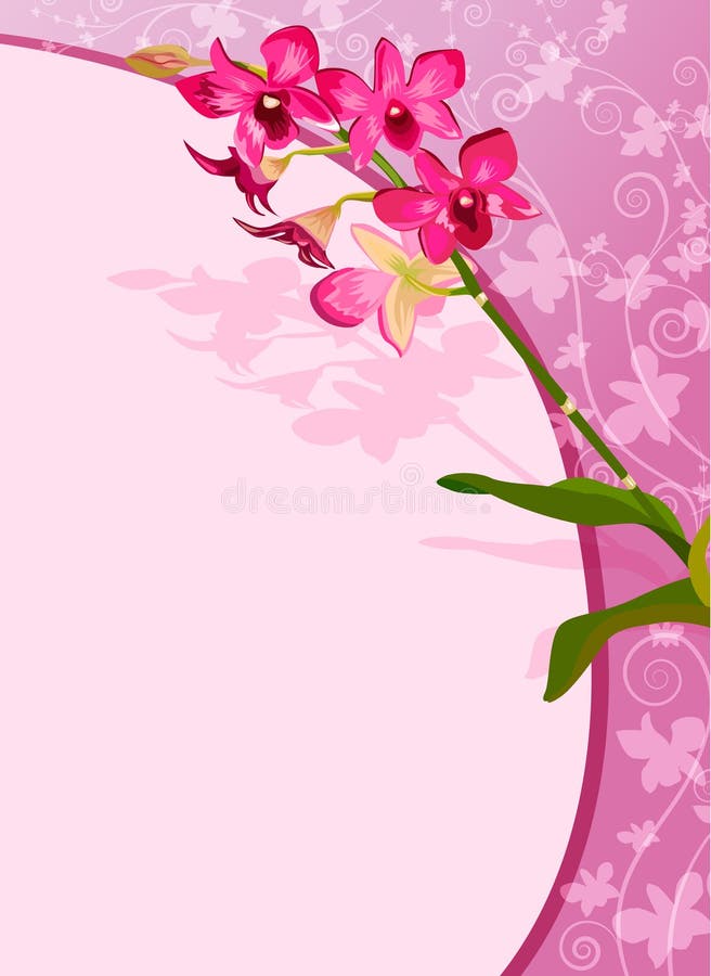 Orchids border stock illustration. Illustration of formal - 15791060