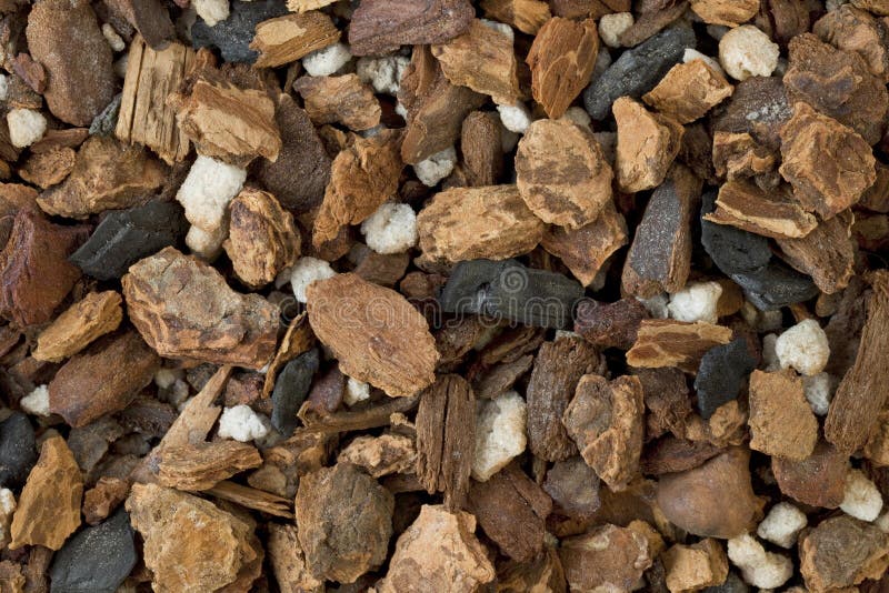 Orchid bark mix stock photo. Image of sponge, macro, black - 12055066