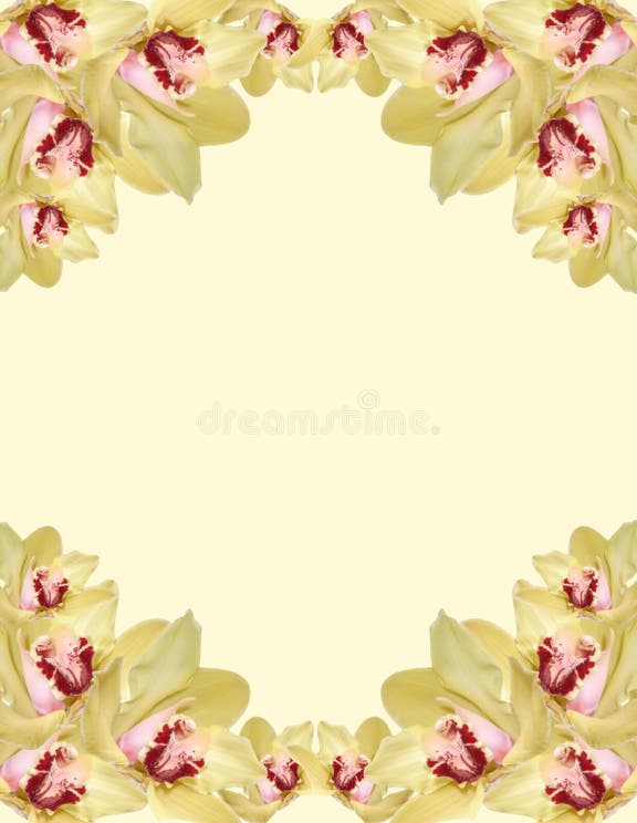 White Orchid Border Stock Illustrations – 8,062 White Orchid Border ...