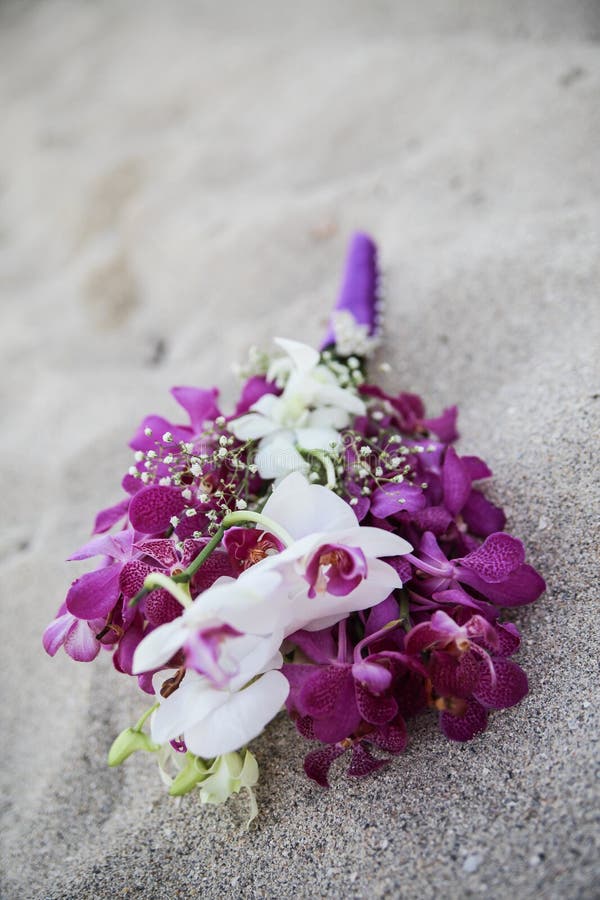 Orchid Bouquet stock image. Image of bouquet, cymbidium - 25156739