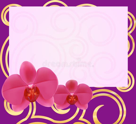 Orchid Card Background Stock Illustrations – 25,673 Orchid Card ...