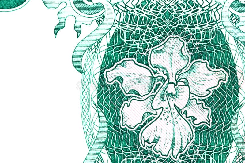 Currency note stock image. Image of printed, shot, finance - 140799721