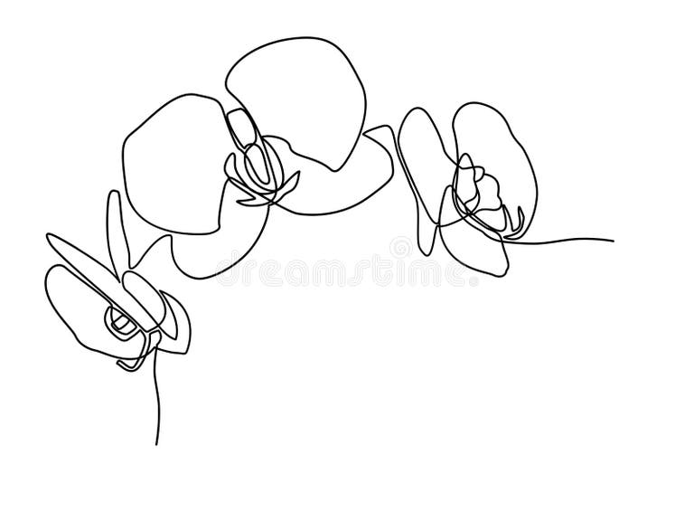 Continuous One Line Drawing Orchid Stock Illustrations 292 Continuous
