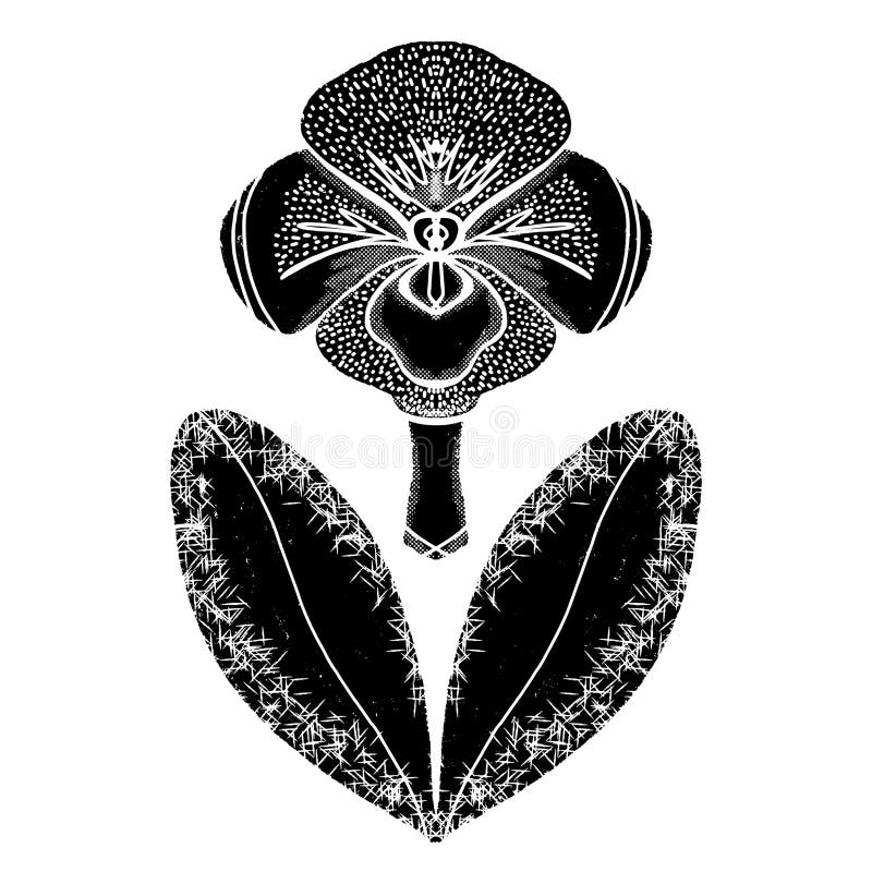 Orchid Flower and Stylized Leaves. Stock Vector - Illustration of paint ...